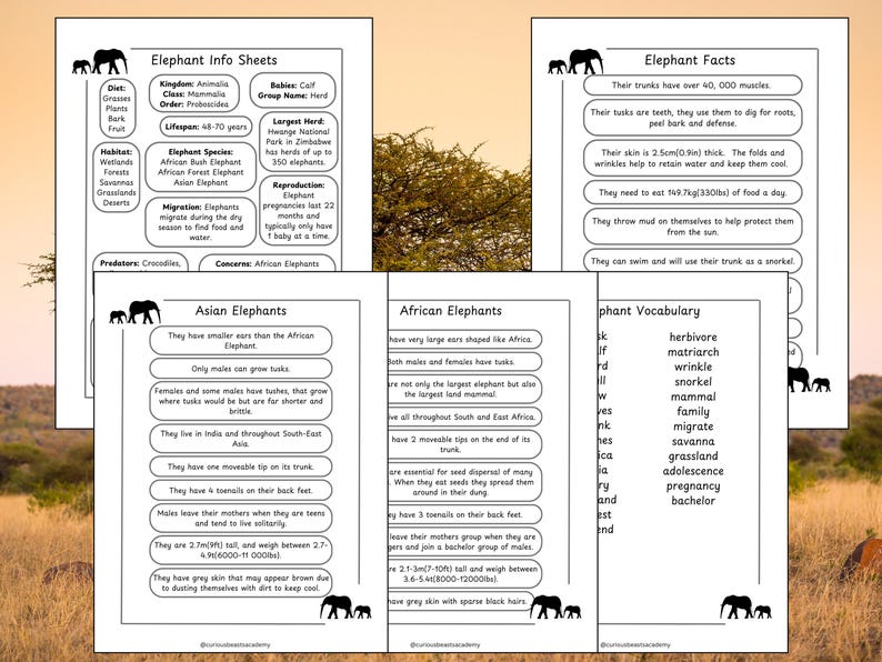 Elephant Unit Study | Homeschool Printable Learning Pack (digital ...