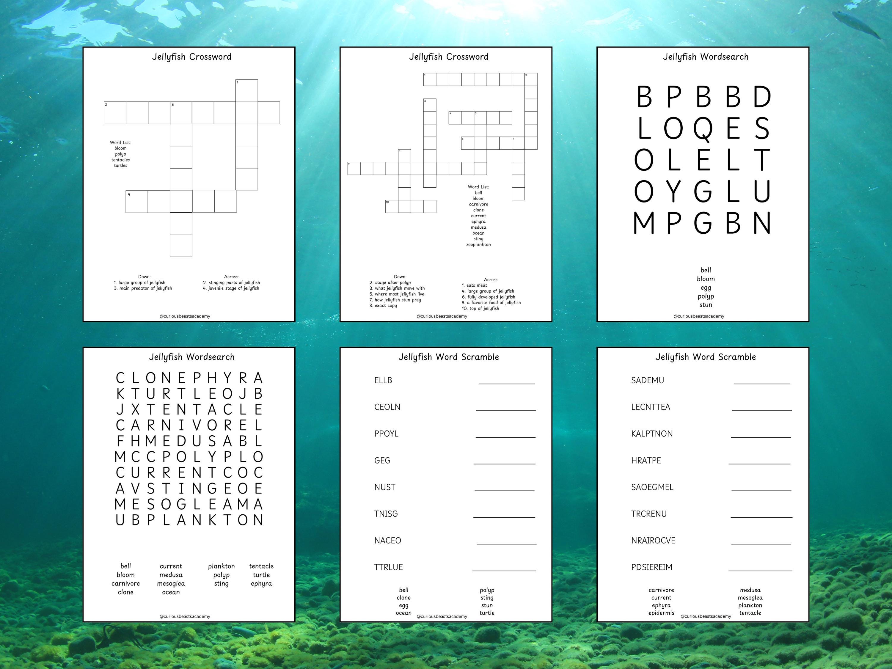 Jellyfish Unit Study | 54 Page Printable Educational Resource ...