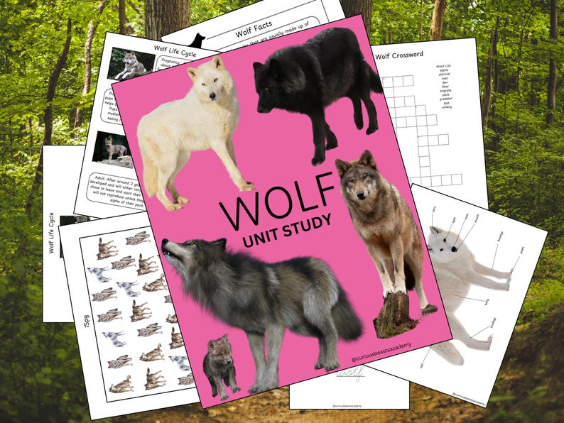 Wolf Unit Study: Homeschool Printable Nature Pack (62 Page) (digital ...