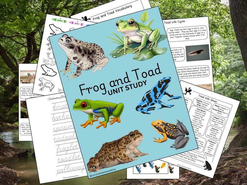 Frog and Toad Unit Study: Homeschool Nature Learning (printable) - Etsy