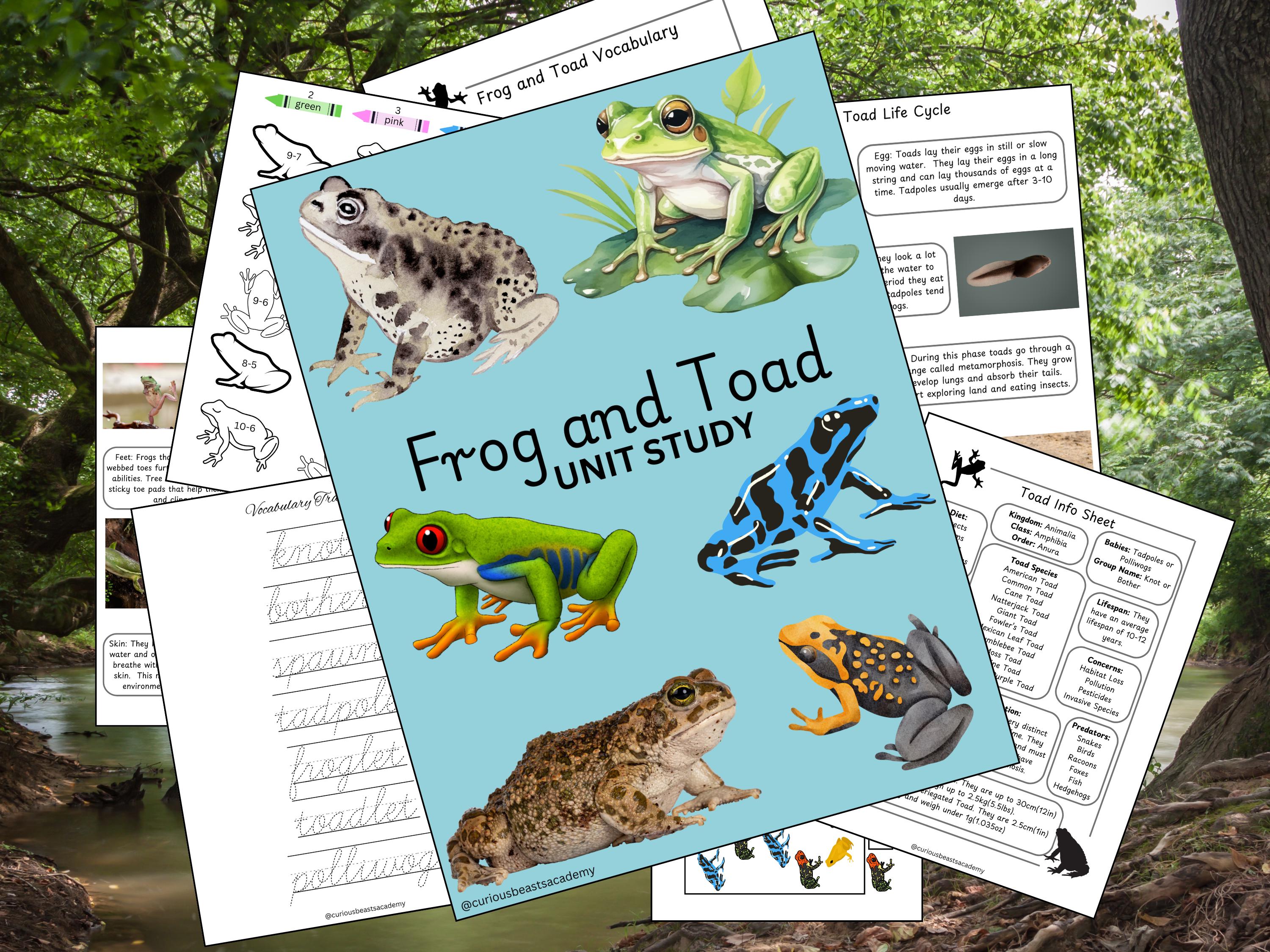 Frog and Toad Unit Study: Homeschool Nature Learning (printable) - Etsy