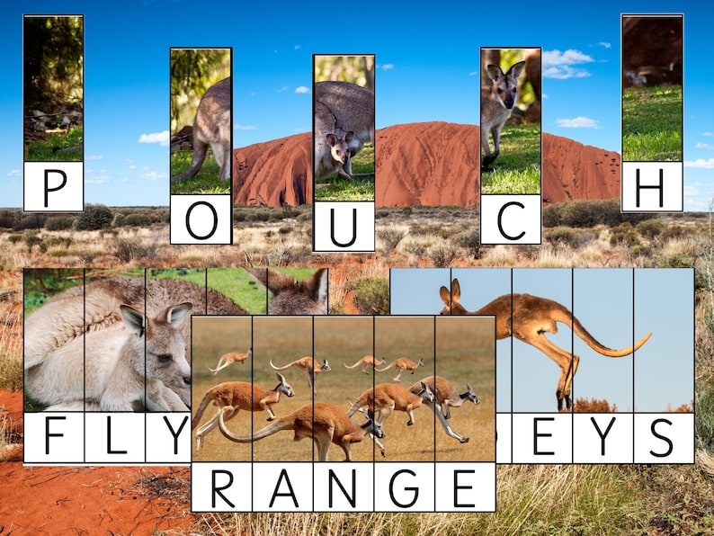 Kangaroo Unit Study for Kids: Fun Learning Printables, Worksheets ...