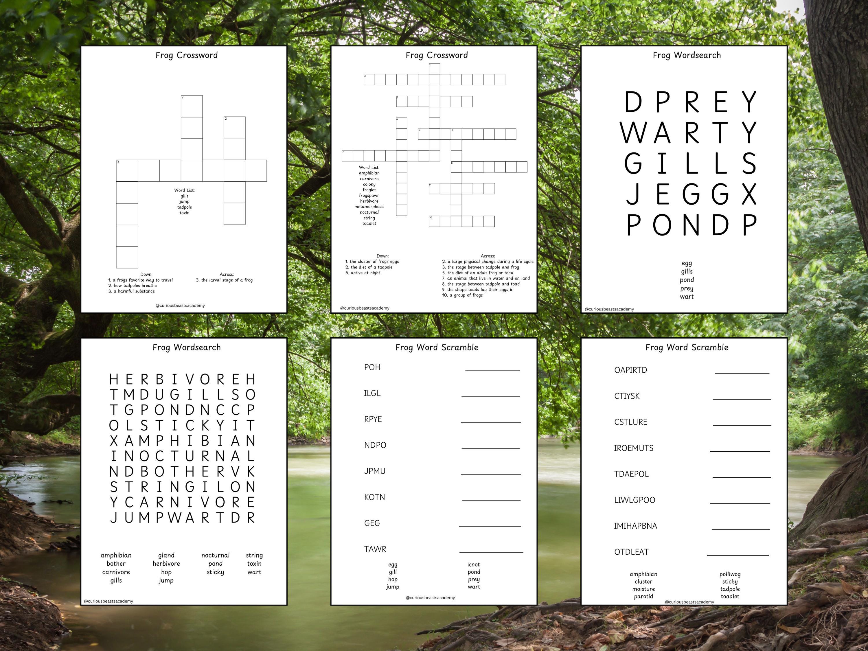 Frog and Toad Unit Study: Homeschool Nature Learning (printable) - Etsy