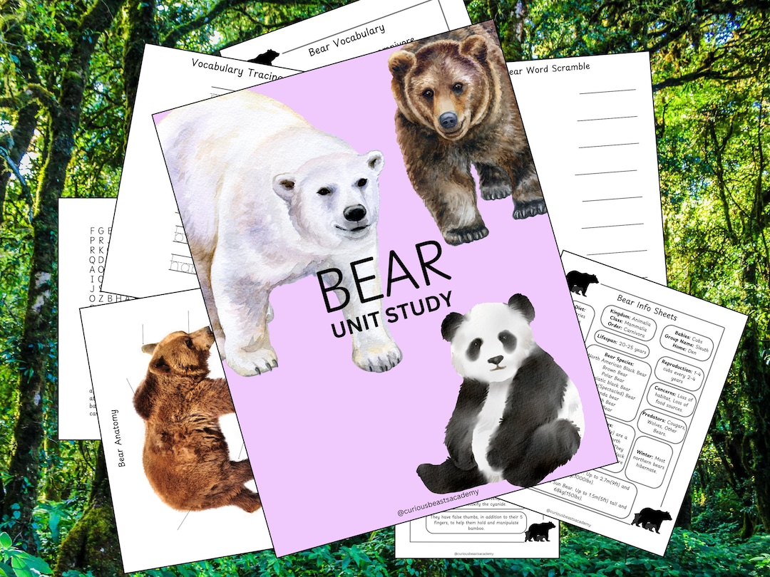 Bear Unit Study | 57 Page Homeschool Nature Study | Classroom Learning ...
