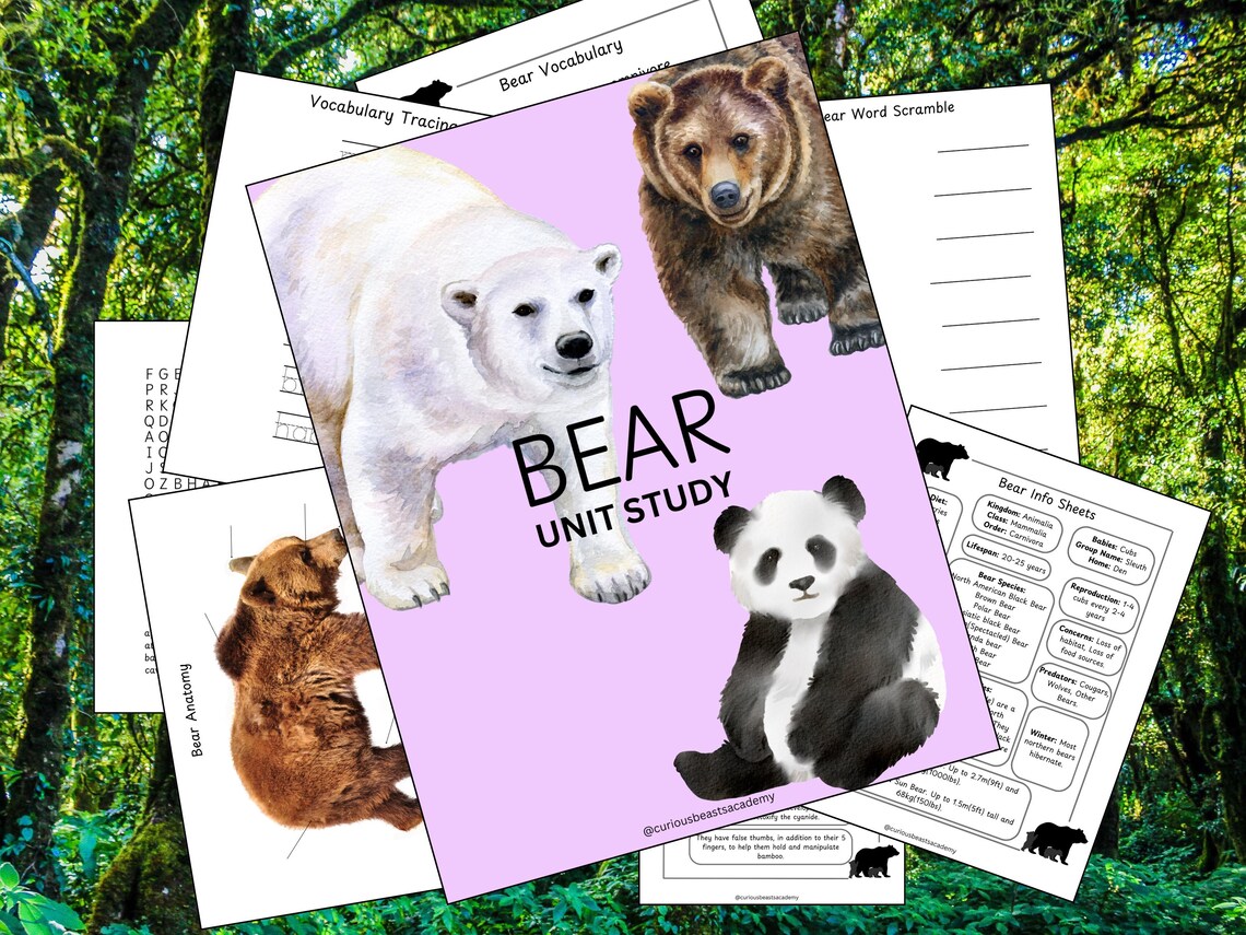 Bear Unit Study: Homeschool Nature Learning Pack (printable) - Etsy
