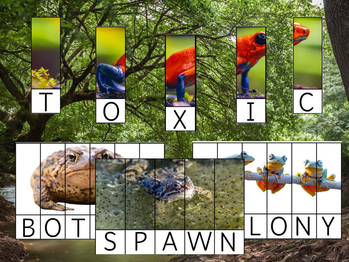 Frog and Toad Unit Study: Homeschool Nature Learning (printable) - Etsy