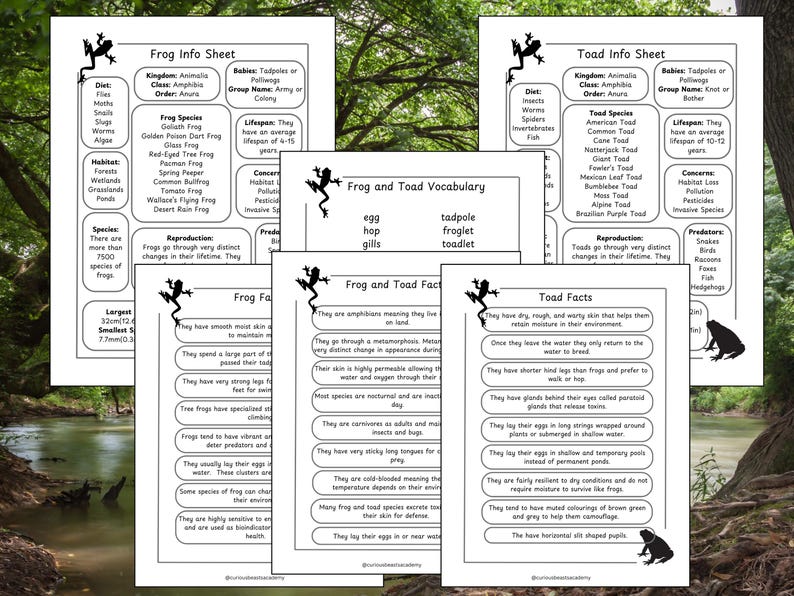 Frog and Toad Unit Study: Homeschool Nature Learning (printable) - Etsy