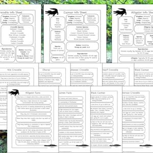 Alligator & Crocodile Unit Study: Homeschool Learning Pack (digital ...