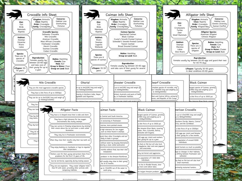 Alligator & Crocodile Unit Study: Homeschool Learning Pack (digital ...