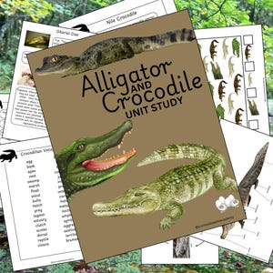 Alligator & Crocodile Unit Study: Homeschool Learning Pack (digital ...