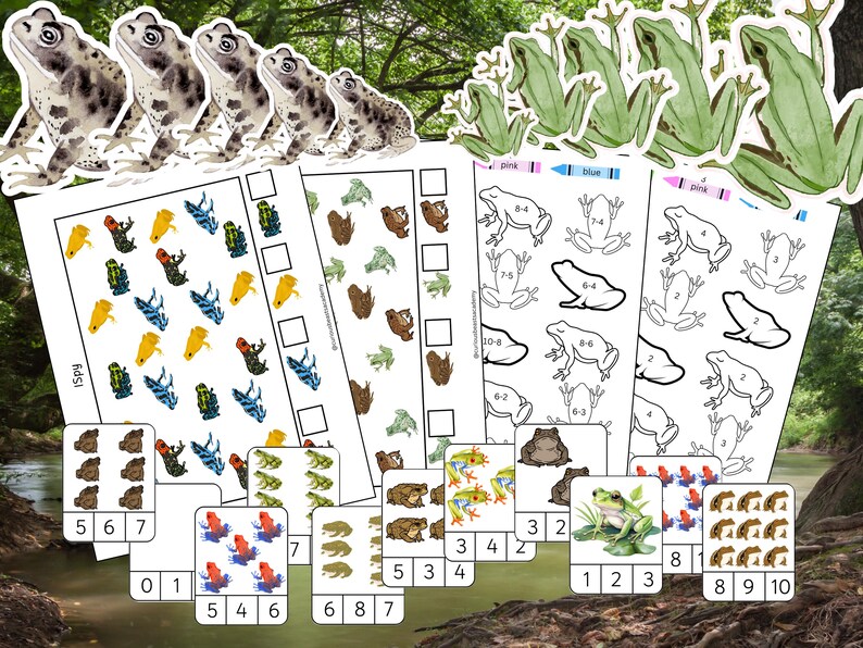 Frog and Toad Unit Study: Homeschool Nature Learning (printable) - Etsy