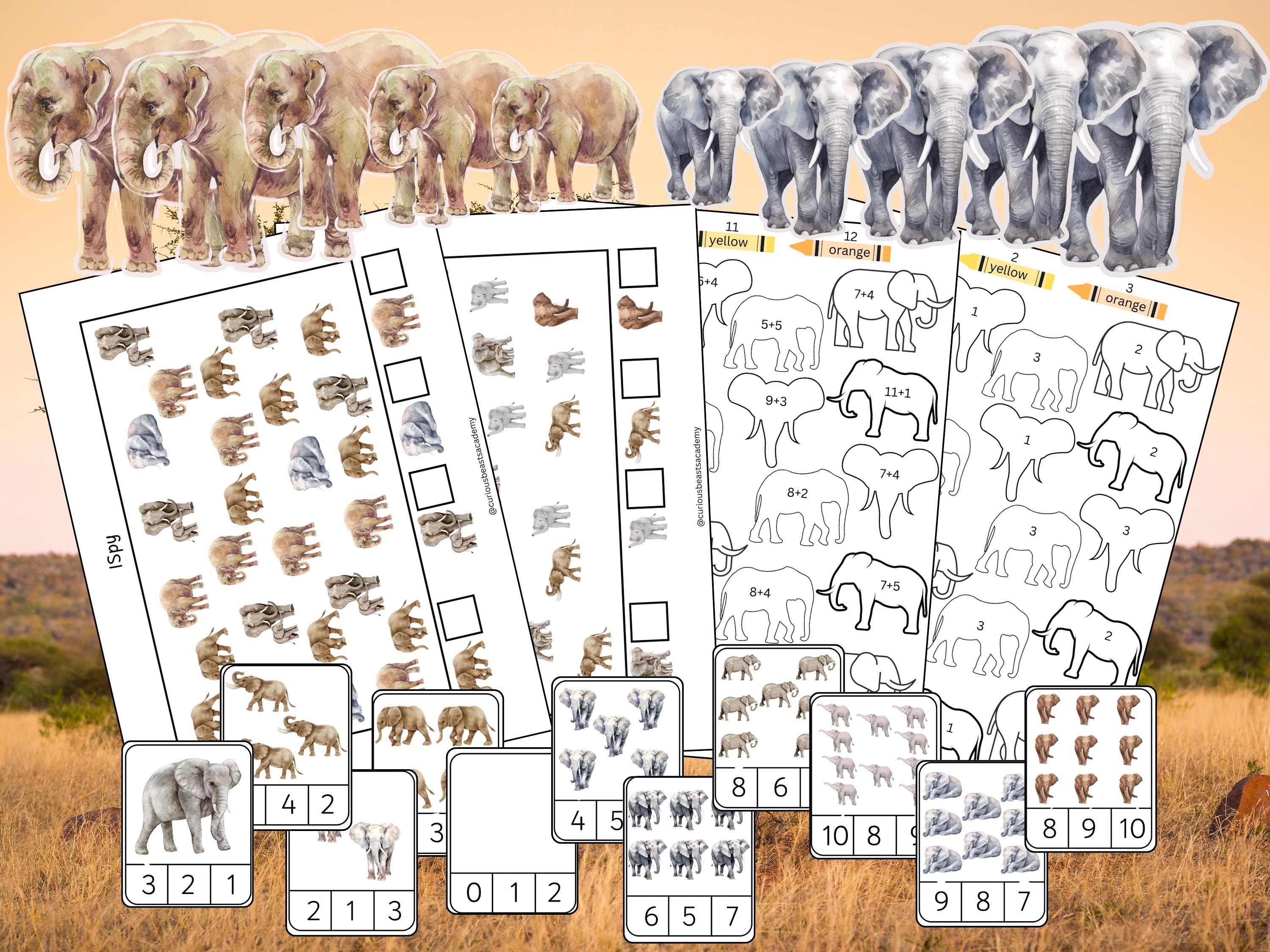 Elephant Unit Study | Homeschool Printable Learning Pack (digital ...