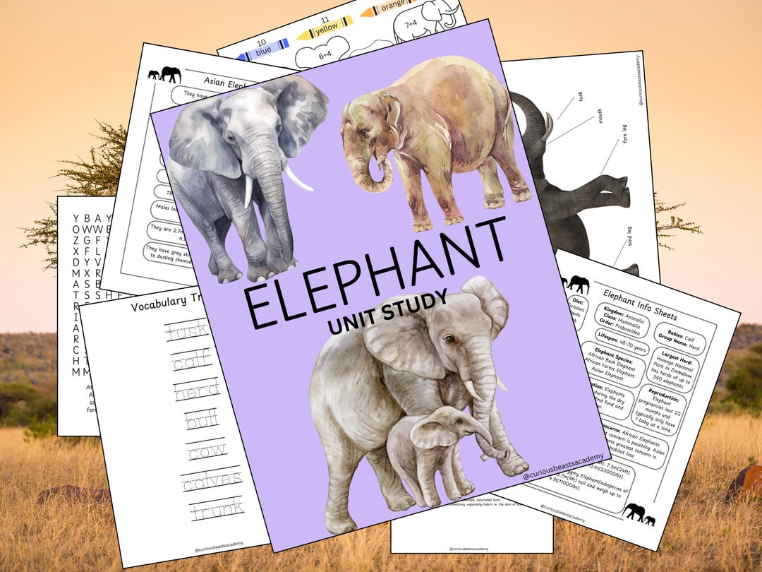 Elephant Unit Study | 51 Page Homeschool Nature Study | Classroom ...