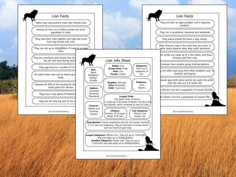 Lion Unit Study: Homeschool Nature Learning Pack (printable) - Etsy