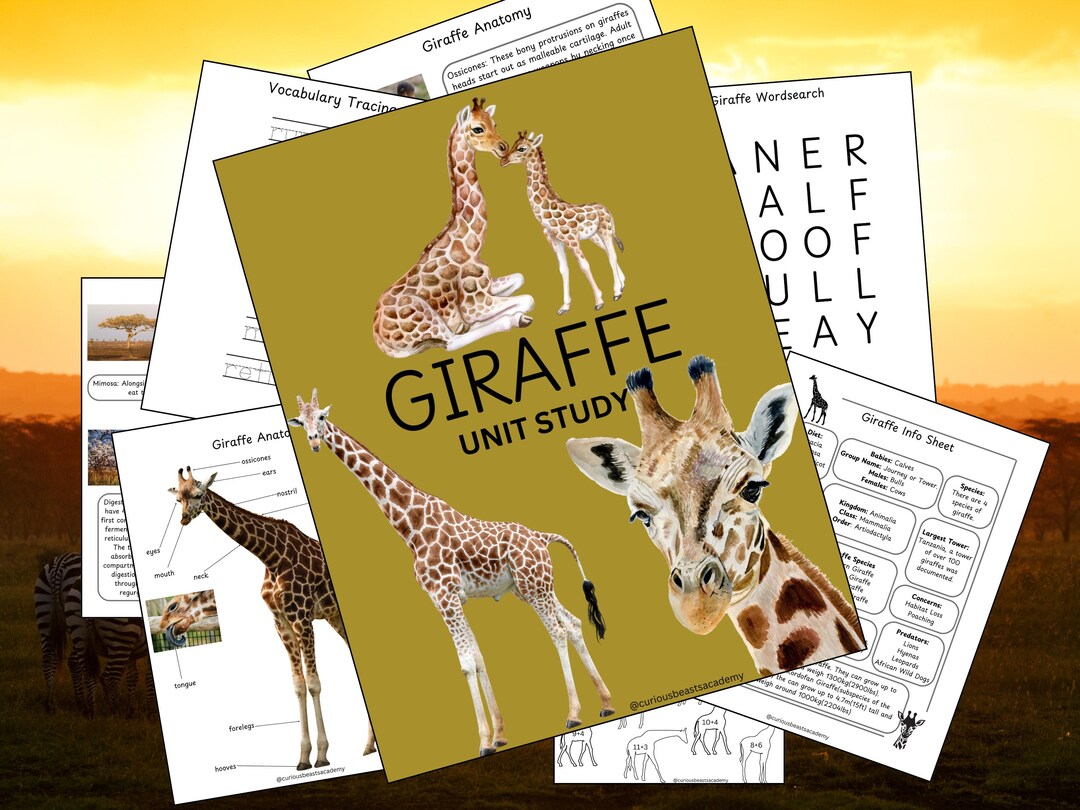 Giraffe Unit Study | 53 Page Homeschool Nature Study | Classroom ...