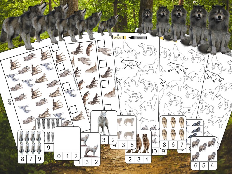 Wolf Unit Study: Homeschool Printable Nature Pack (62 Page) (digital ...