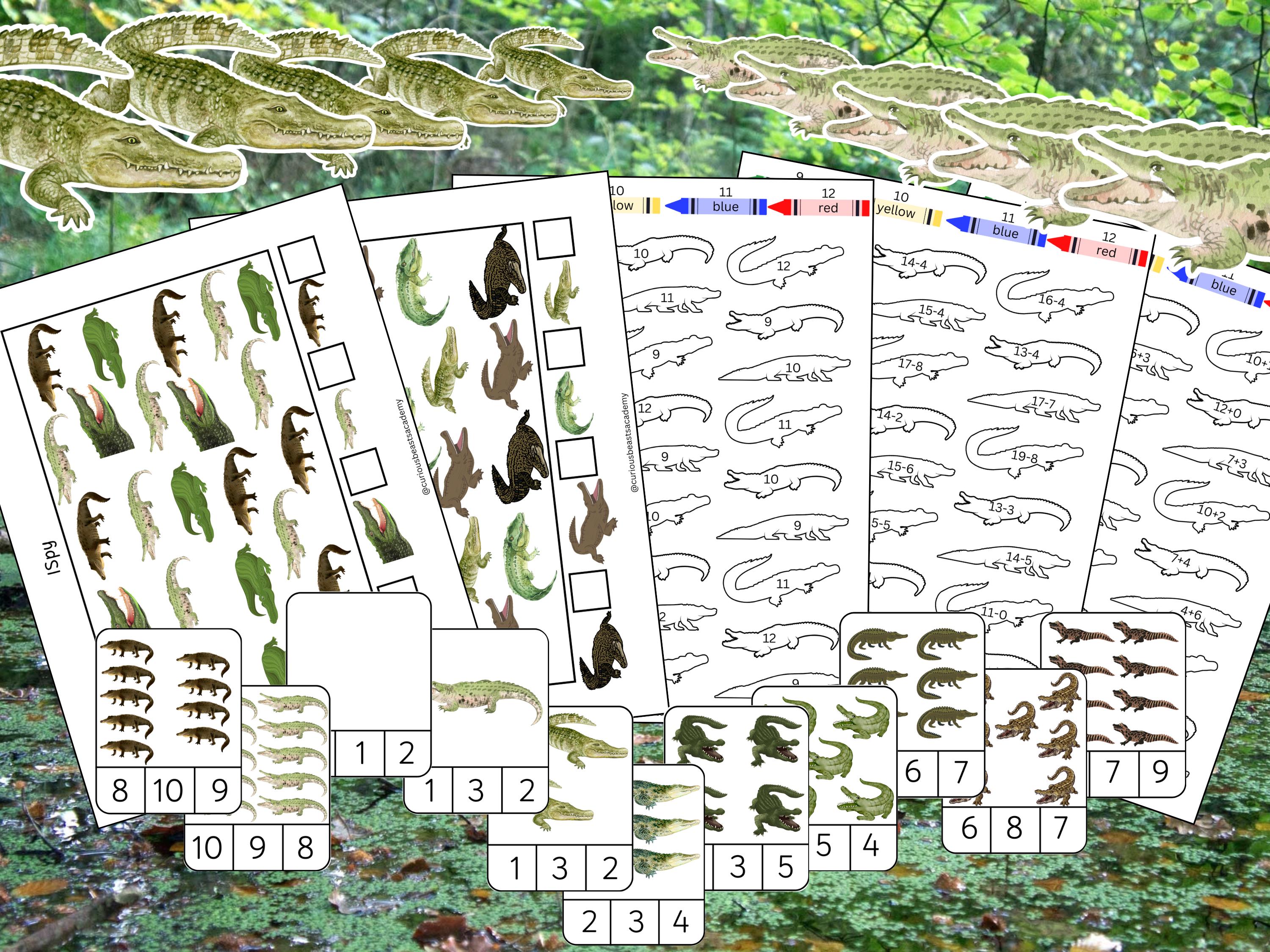 Alligator & Crocodile Unit Study: Homeschool Learning Pack (digital ...