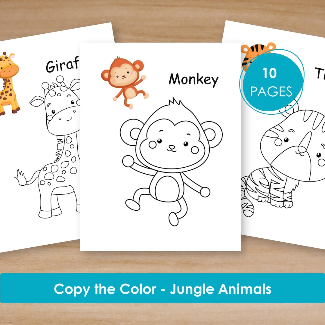 Coloring Pages Jungle Animals for Preschool Copy Color for Kindergarten ...