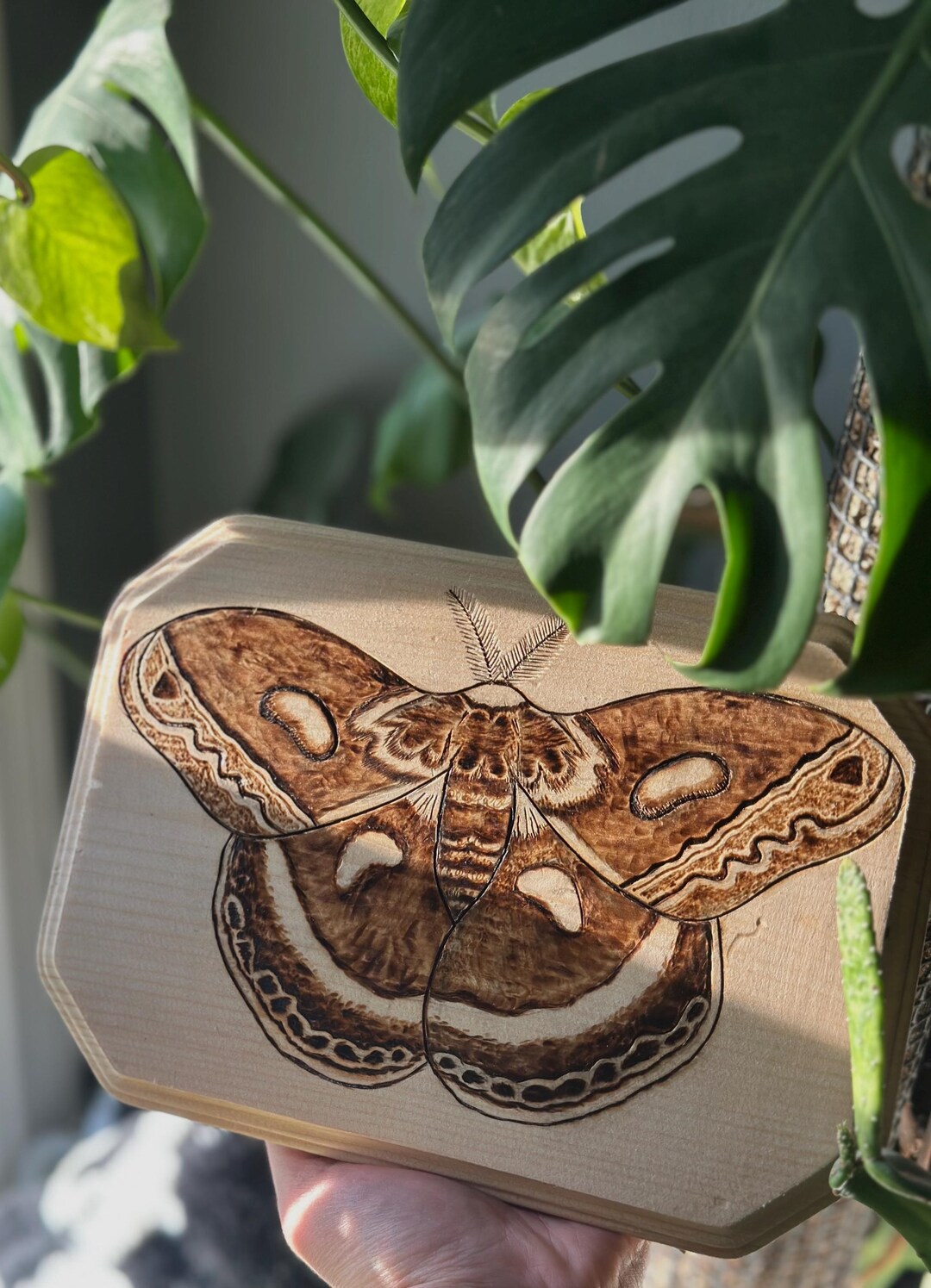 Wall Decor Hand-burned Moth Wall Art Moonlit Witch Vibe Decor Rustic ...