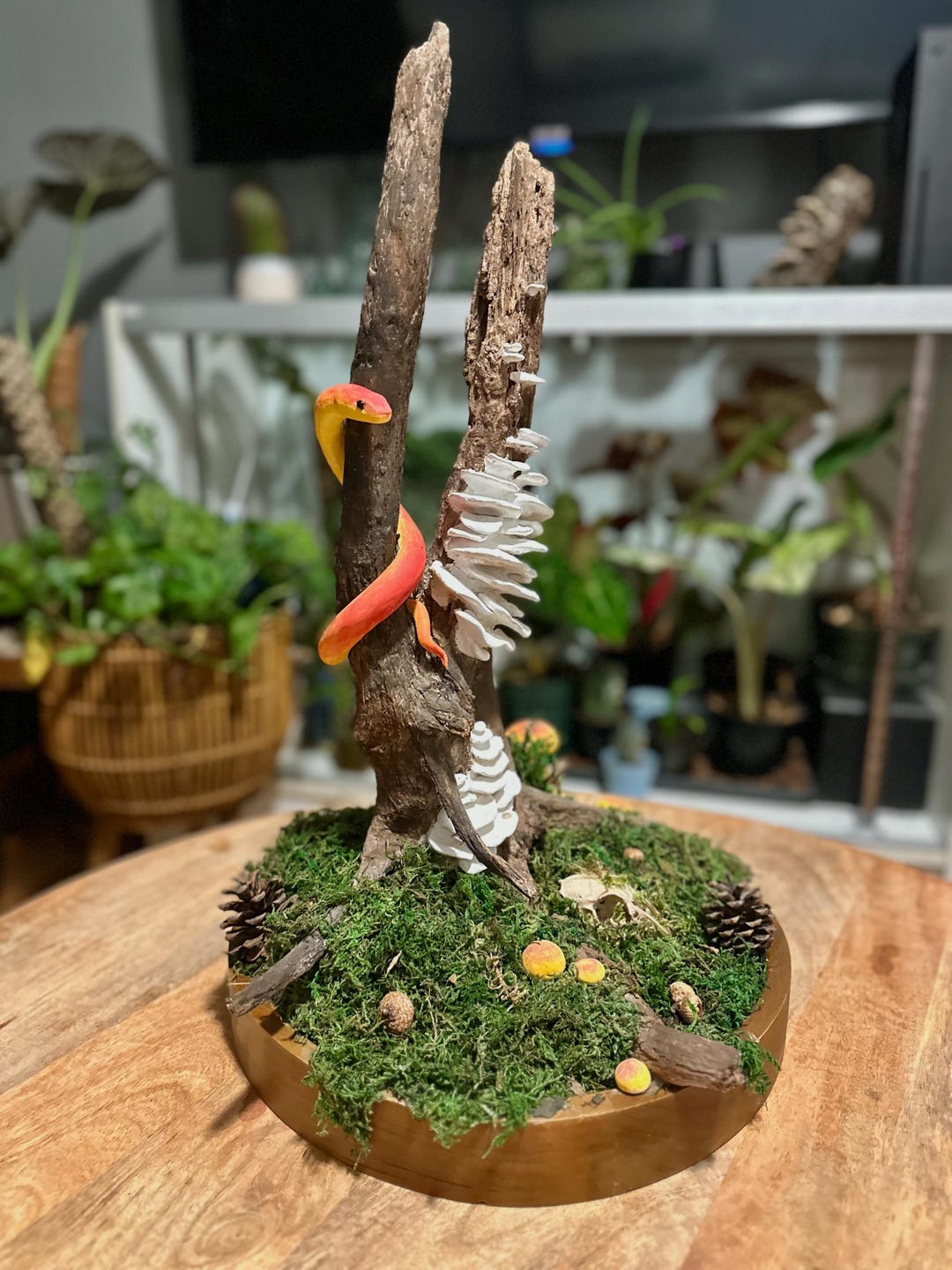 Handsculpted Snake & Mushroom Terrarium – Driftwood Forest Scene With ...