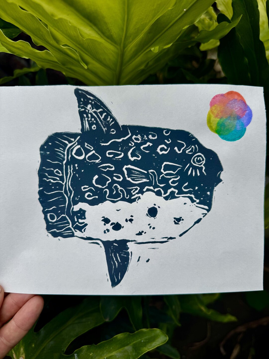 Fish Print, Lino, Linocut Prints, Linocut, Mola Mola, Sunfish, Marine ...
