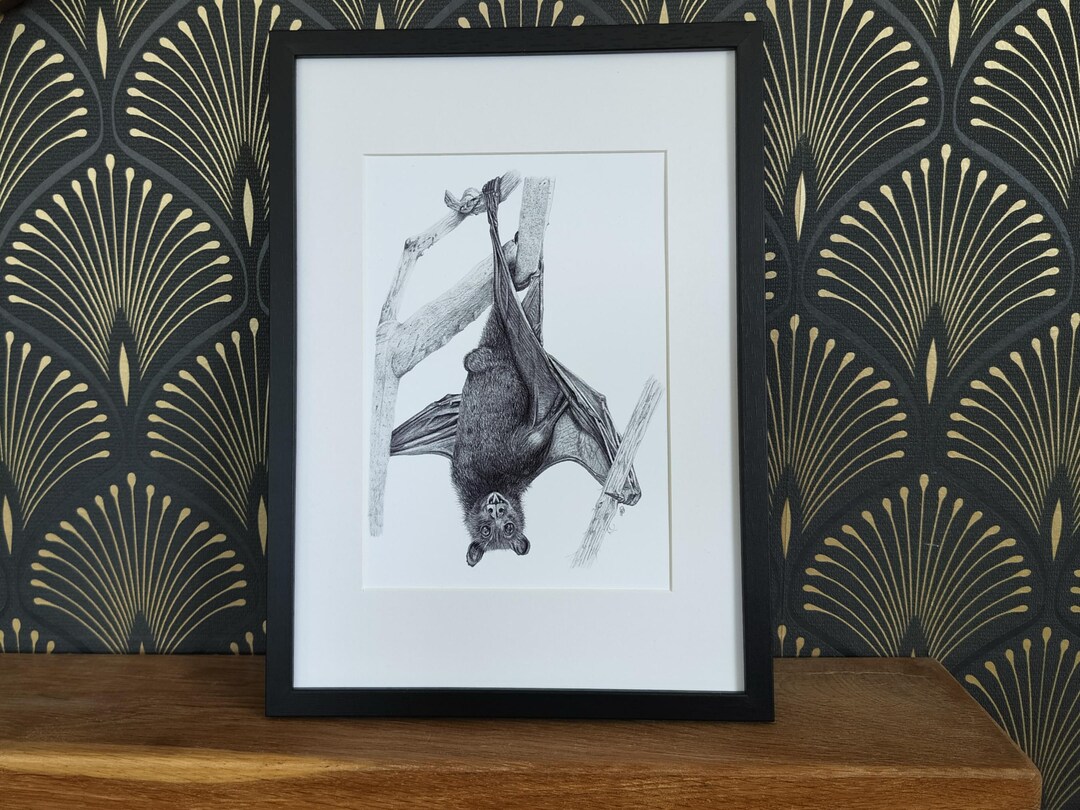 Cheeky Bat Original Art Print, Graphite Drawing, Halloween, Wildlife ...