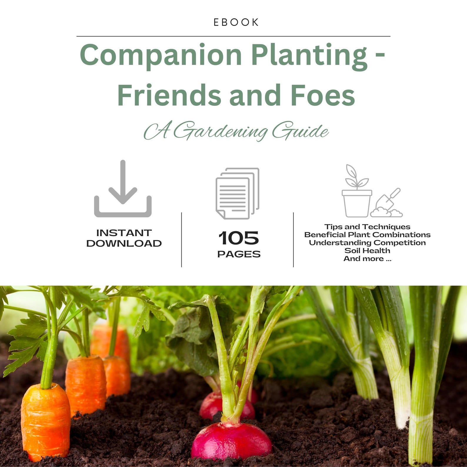 Companion Planting : Friends and Foes, Garden Guide for Effective Plant ...