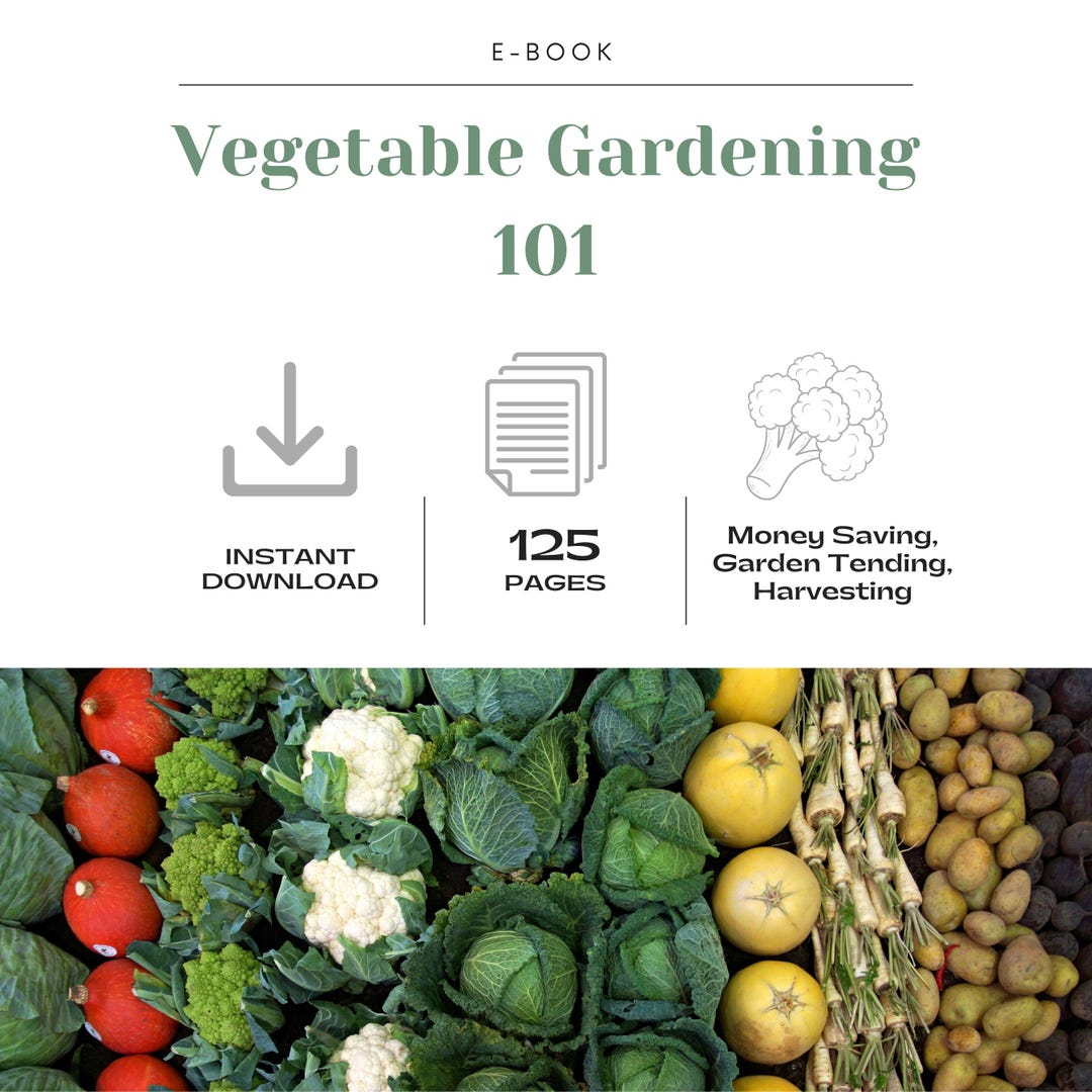 Vegetable Gardening 101 | Gardening Guide | Essential Tips & Techniques ...