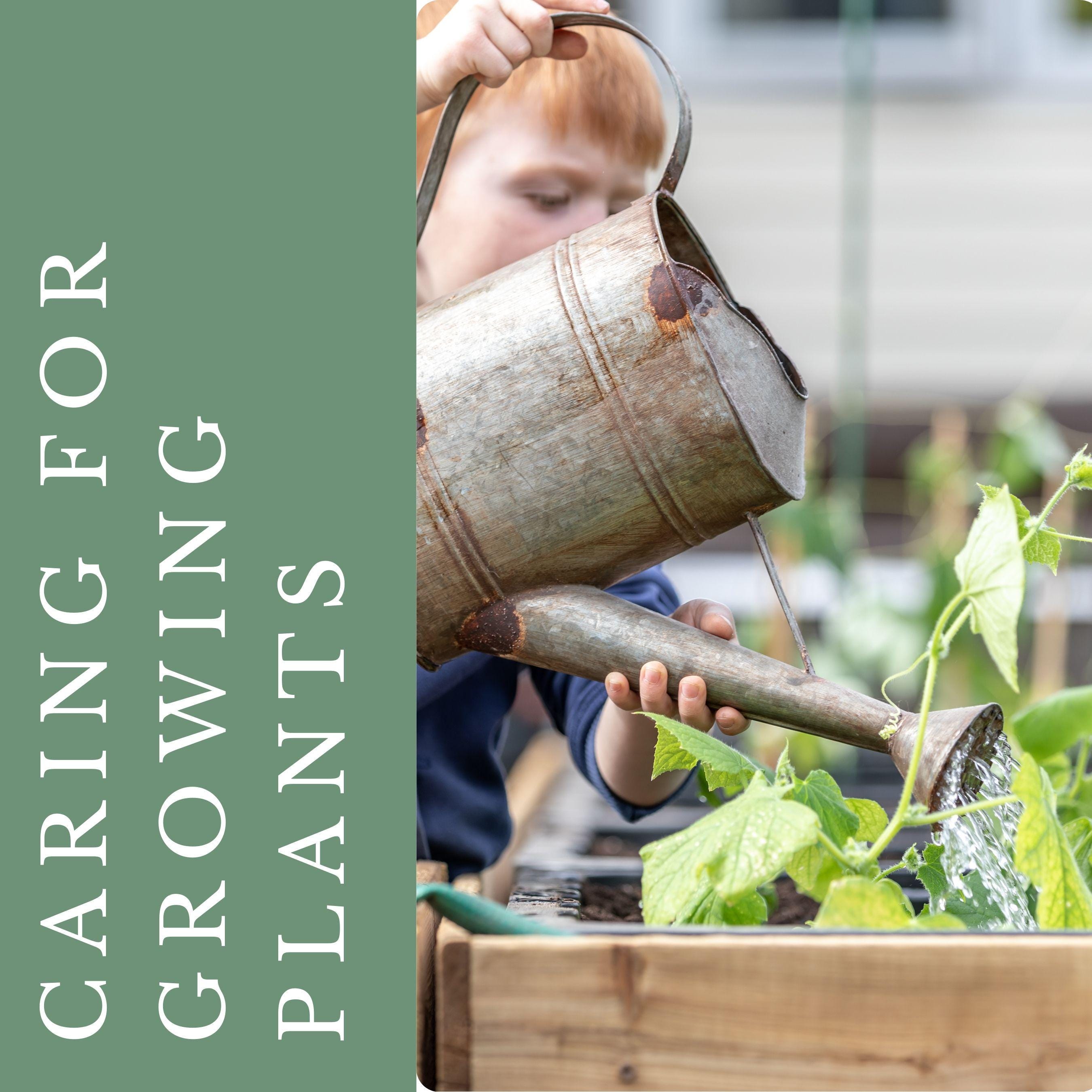 Vegetable Gardening 101 | Gardening Guide | Essential Tips & Techniques ...