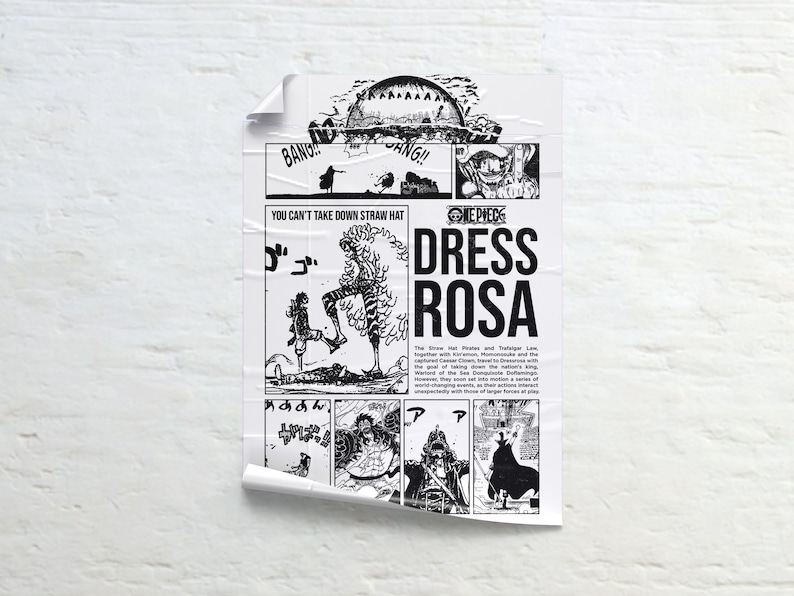 ONE PIECE Dressrosa Arc Poster, Wall Decoration, 60x90cm/23.62x35.43 In ...