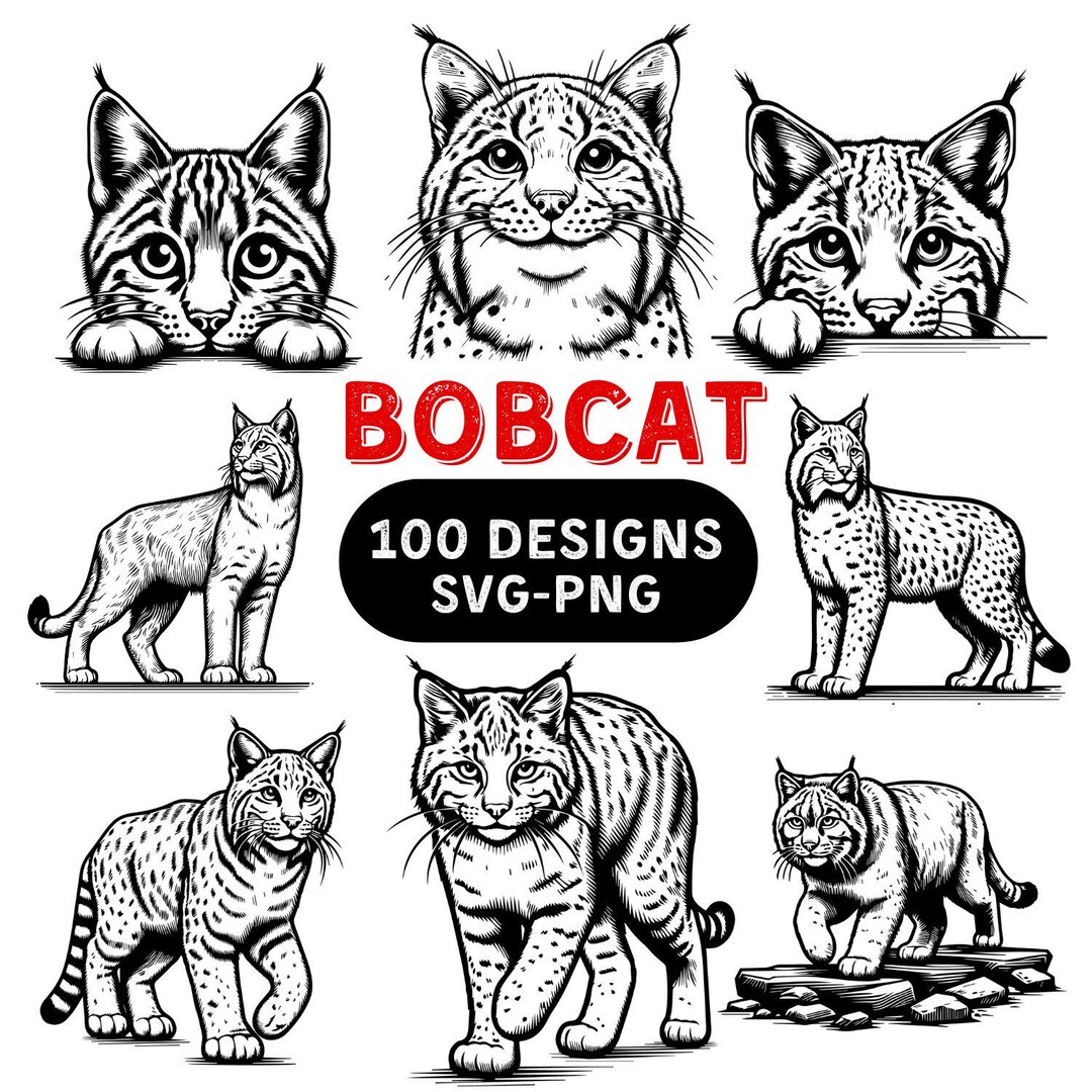 100 Bobcat SVG PNG Designs, Wild Cat Clipart, Bobcat Vector Files, Lynx ...