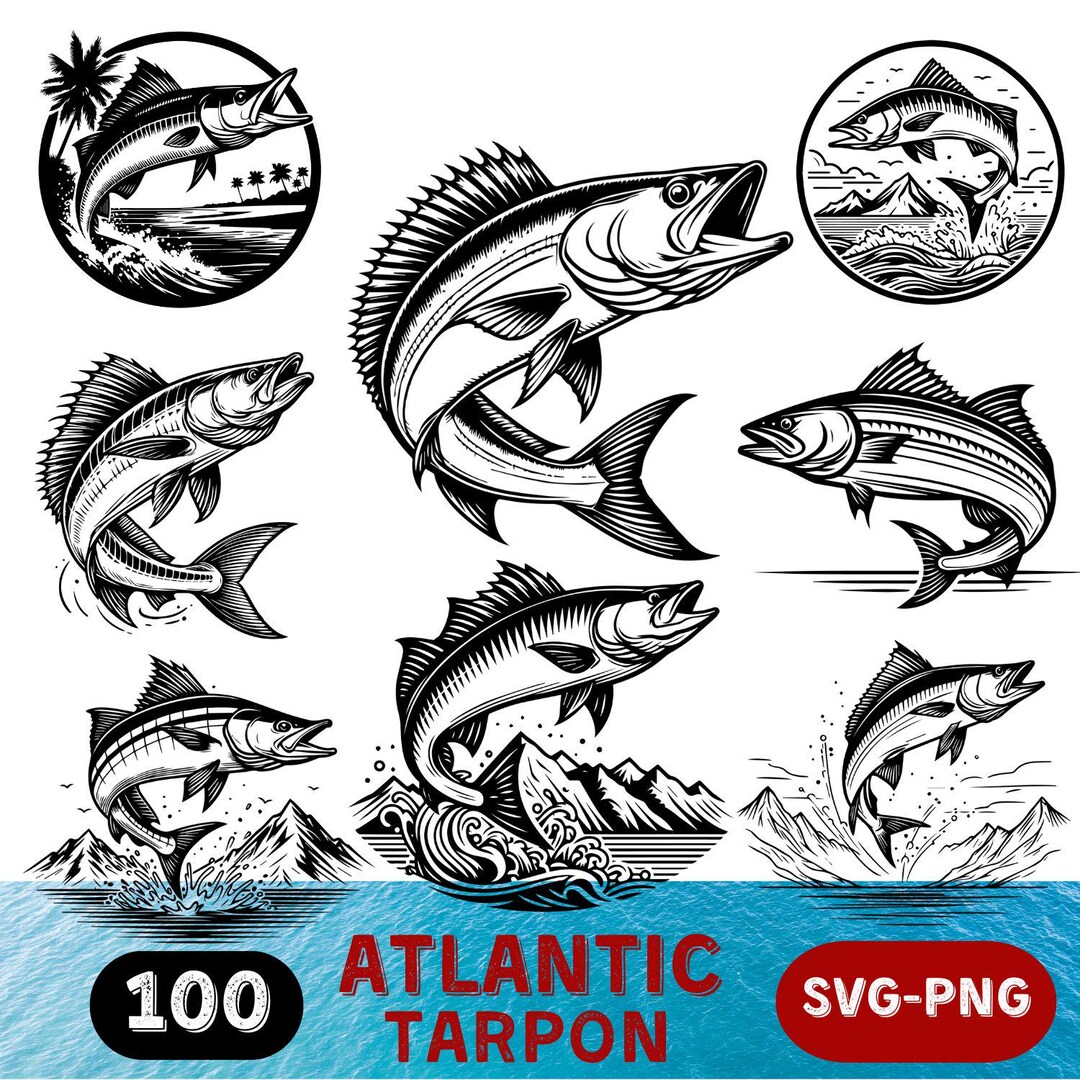Atlantic Tarpon Fish SVG PNG Bundle 100 Tarpon Fishing Designs Sport ...