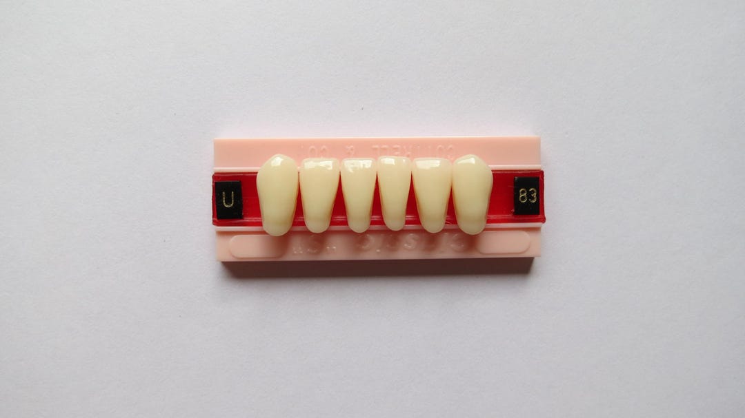 Vintage Denture Teeth Four Sets of 6 Lower Anteriors Acrylic Cottrell ...