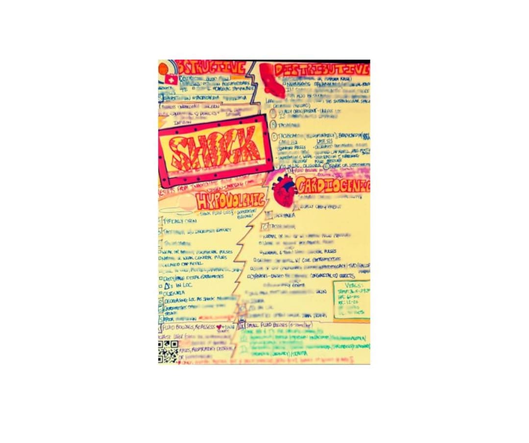 Shock Cheat Sheet: Causes, Symptoms & Treatments (digital Download ...