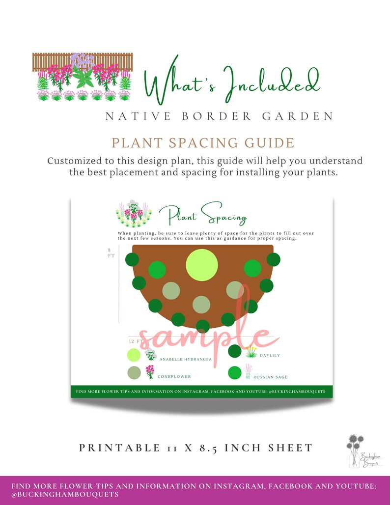 NATIVE BORDER GARDEN Design Landscape Plan - Easy Native Border Garden ...