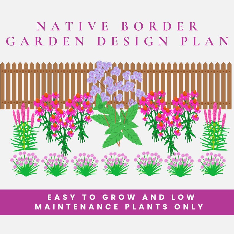 NATIVE BORDER GARDEN Design Landscape Plan - Easy Native Border Garden ...