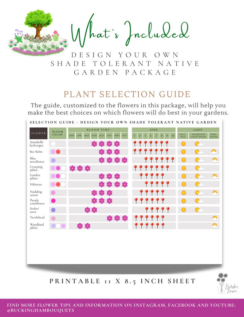 DIY! SHADE Garden: Design Your Own Shade Tolerant Garden Design Package ...