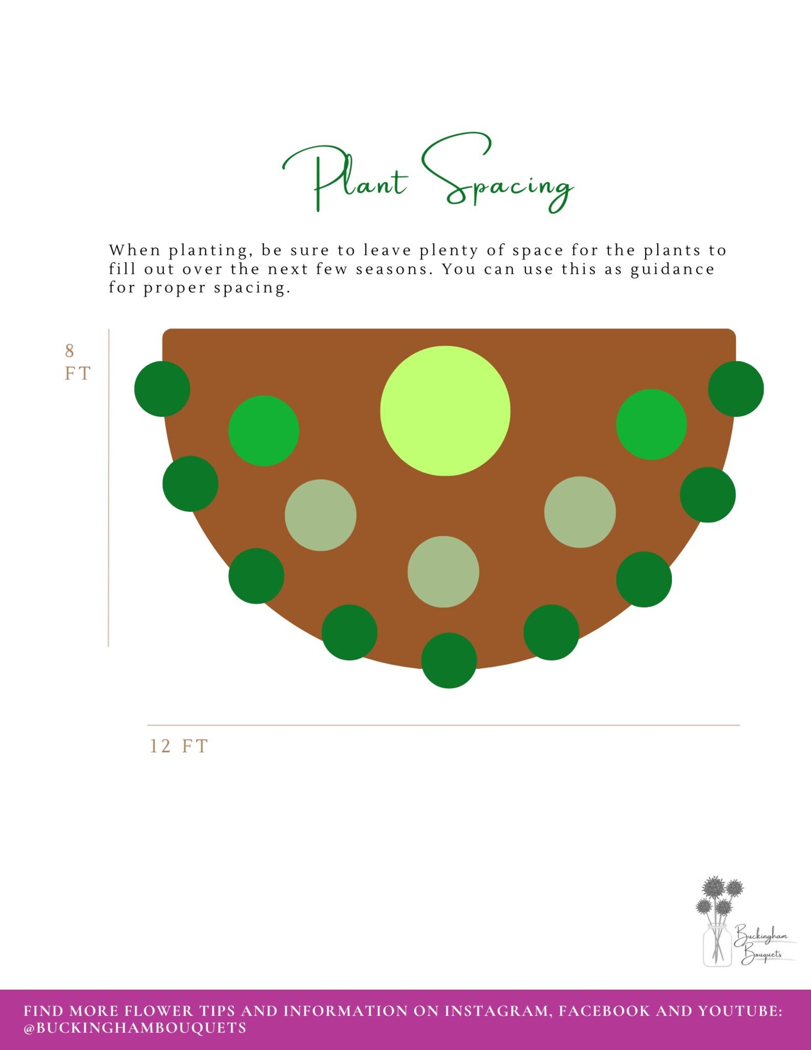 PREDESIGNED BORDER Landscape Plan: Summer Full of Color Border Garden ...