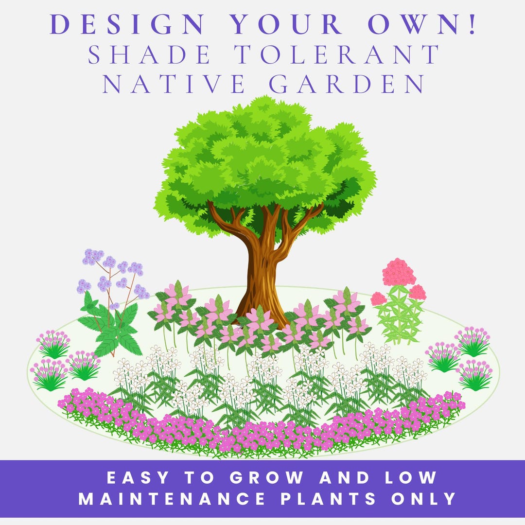 DIY! SHADE Garden: Design Your Own Shade Tolerant Garden Design Package ...