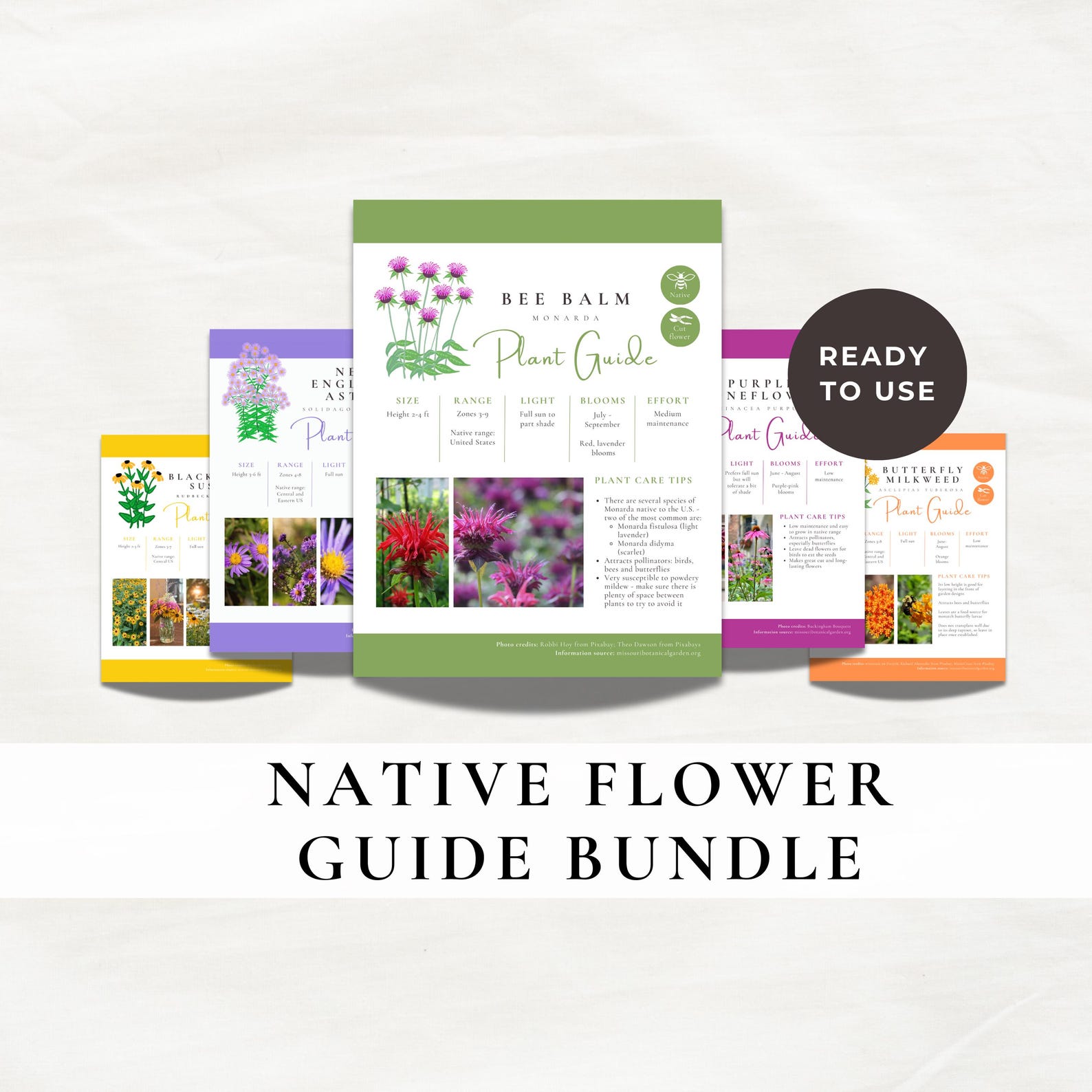 Native Flower Guide Bundle, 15 Printable Plant Info Sheets (digital ...