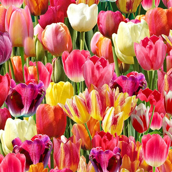 Tulip Print Fabric - Etsy