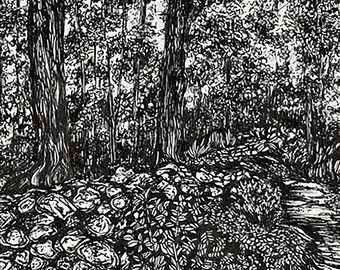 Original Pen and Ink Rocky Path Forest Illustration Drawing Gallery ...