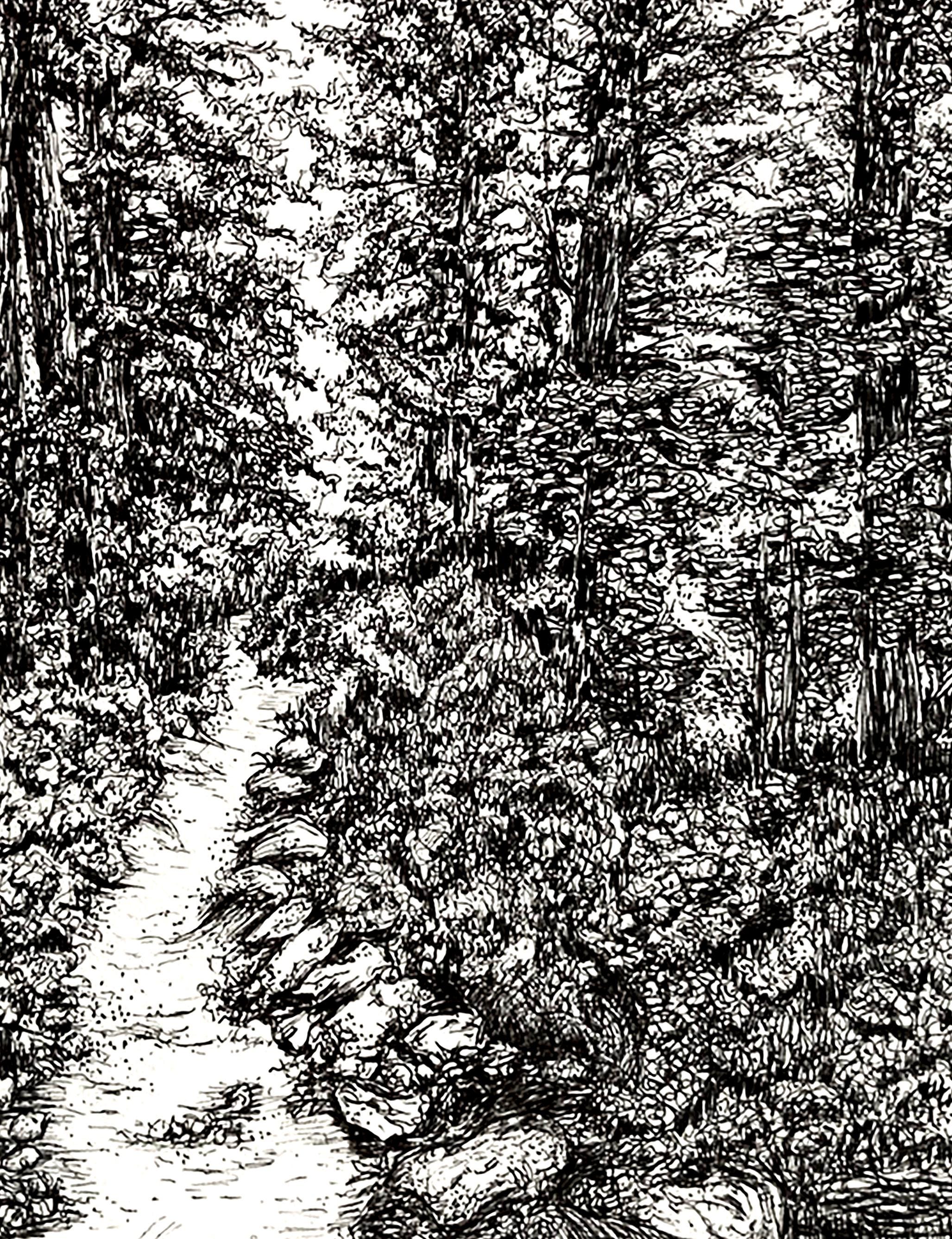 Original Pen and Ink Rocky Path Forest Illustration Drawing Gallery ...