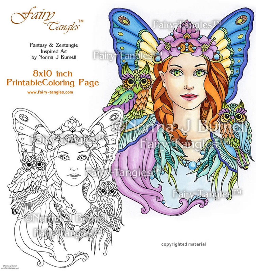 Fairy and Owls Fairy Printable Coloring Book Sheets by Norma J Burnell ...