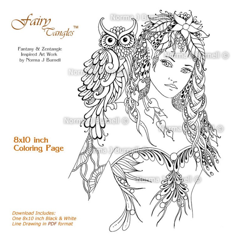 Minerva Fairy and Owl Fairy Tangles Adult Coloring Sheet - Etsy
