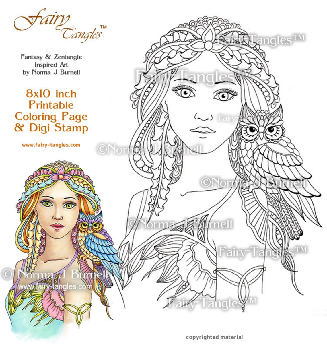 Will-o & Wisp Fairy and Owl Printable Coloring Book Sheets and - Etsy