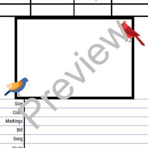 Backyard Bird Watching Journal for Kids (birding Observational Journal ...