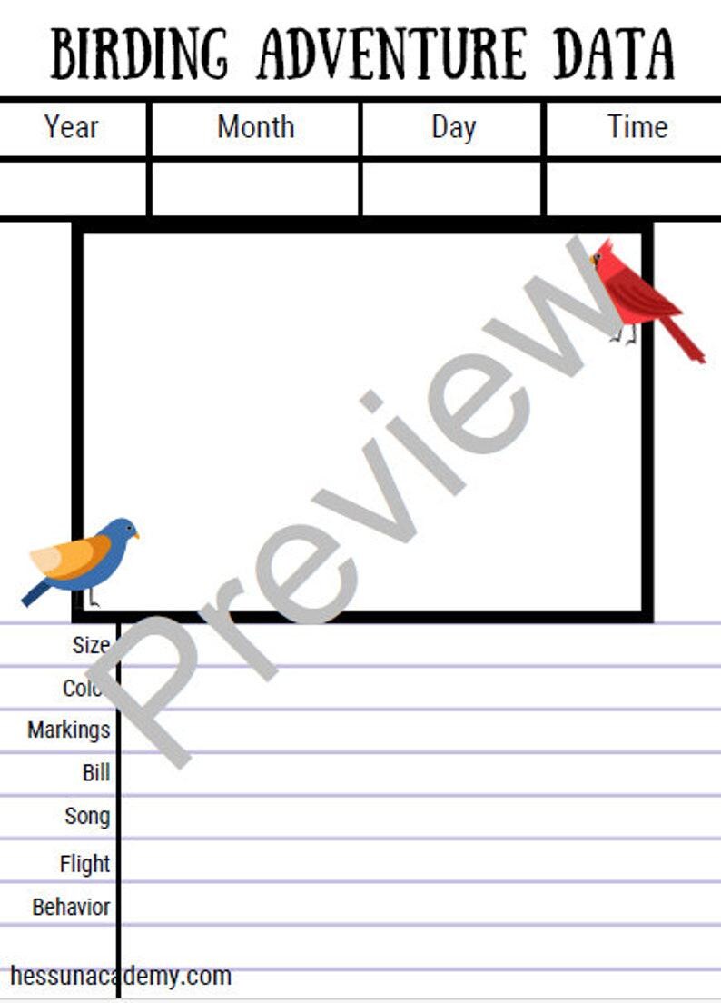Backyard Bird Watching Journal for Kids (birding Observational Journal ...