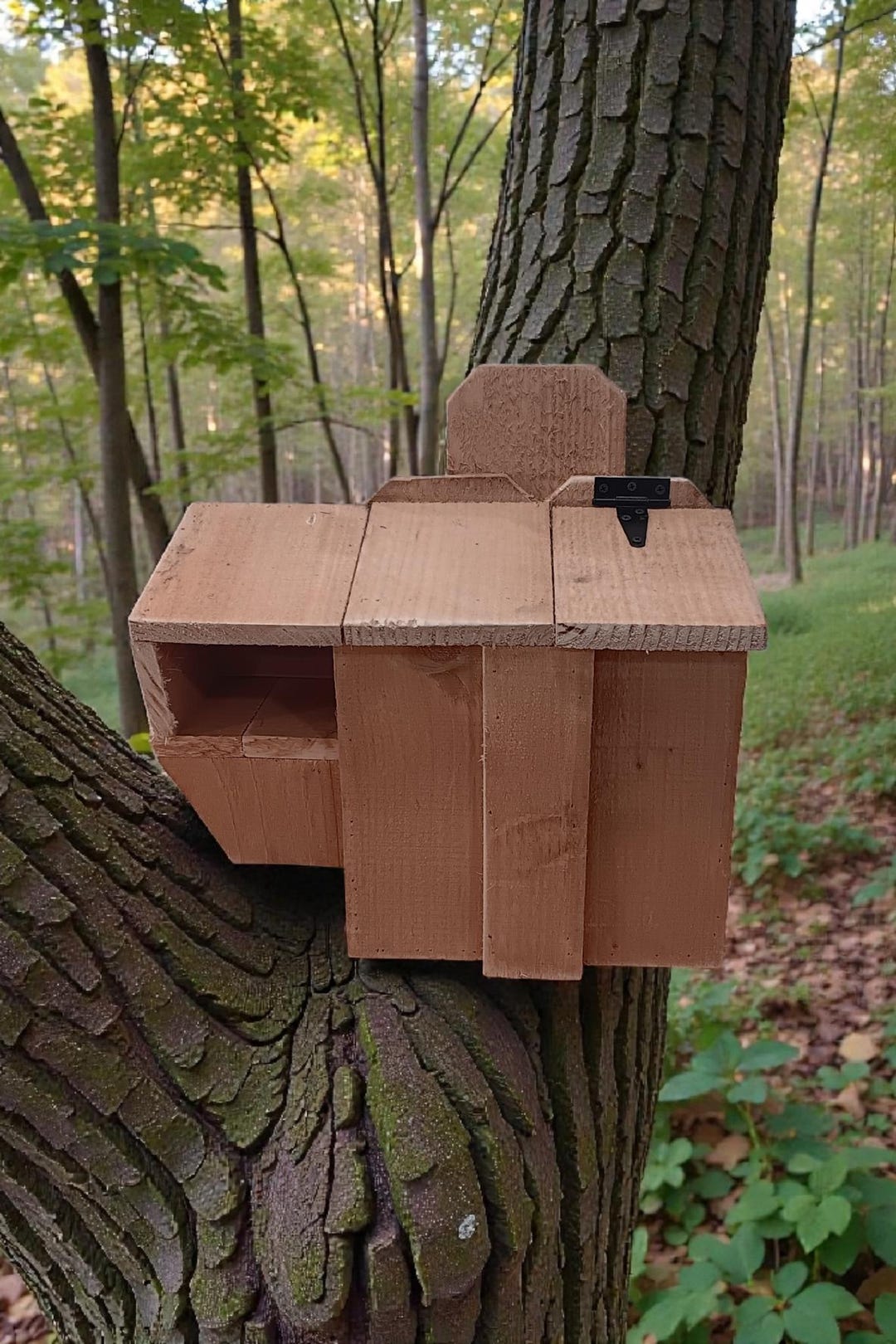 Large Wood Squirrel Nesting Box Squirrel House With Predator Gaurd for ...
