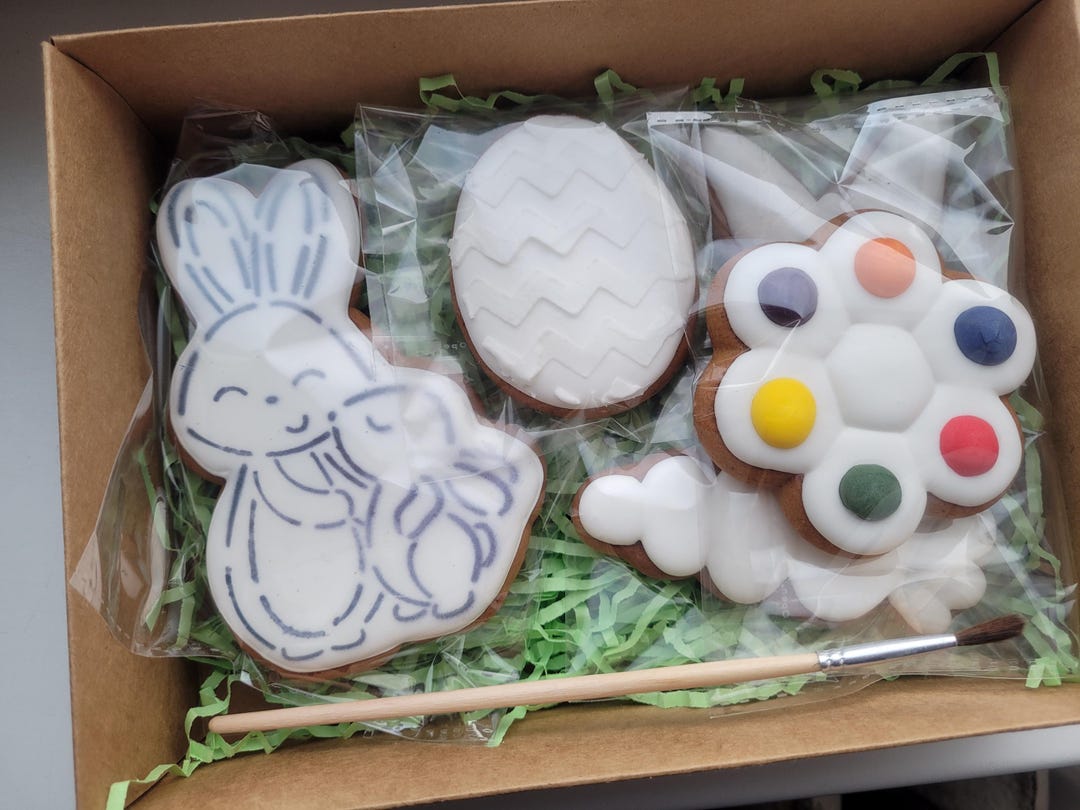 Customizable Cookie Decorating Set Creative Cookie Kit of 5 Cookies for ...